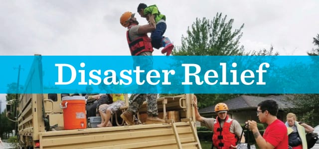 Disaster Preparedness and Response: | Mauve Group